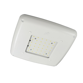 LSI SCM Series Petroleum Canopy Light